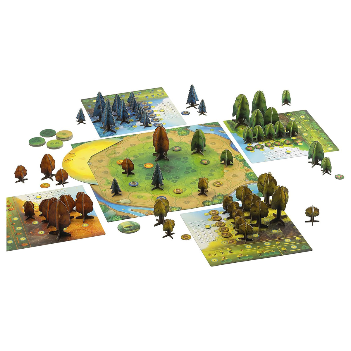 PHOTOSYNTHESIS BOARD GAME – Science World Science Store