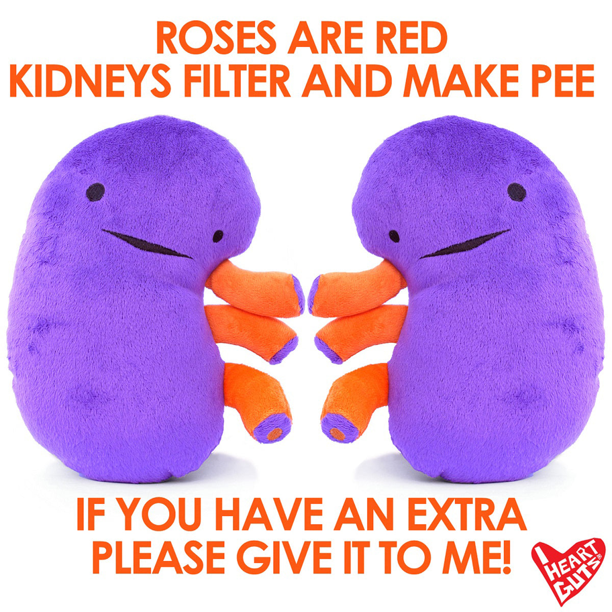 KIDNEY I HEART GUTS – Science World Science Store