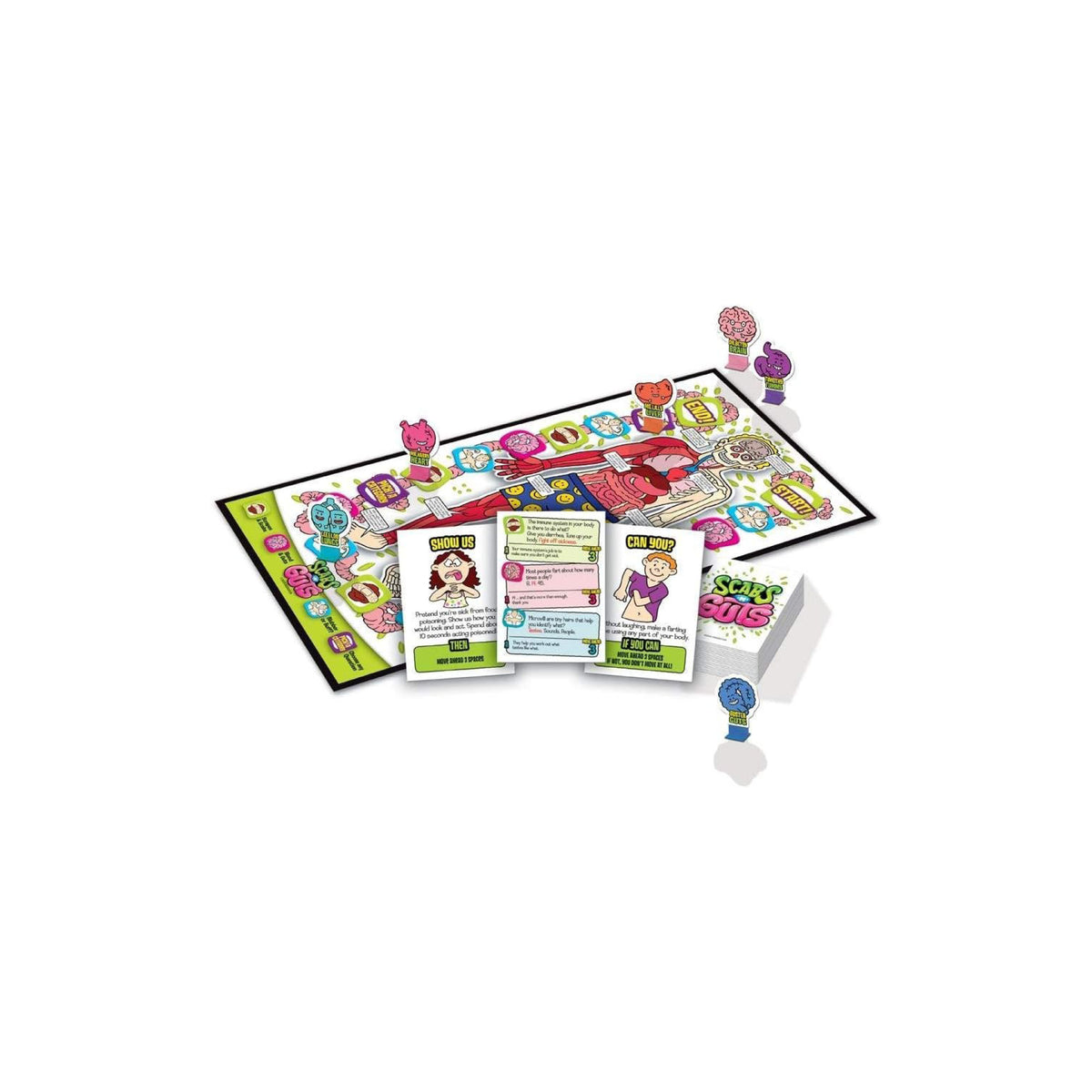 SCABS AND GUTS – Science World Science Store