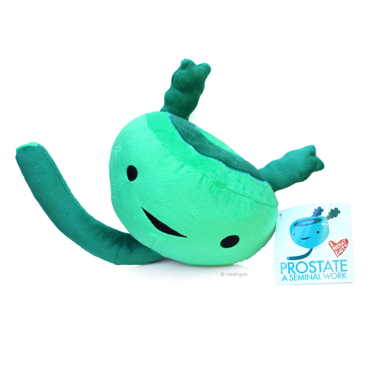 PROSTATE I HEART GUTS - SCIENCE STORE AT SCIENCE WORLD – Science World ...
